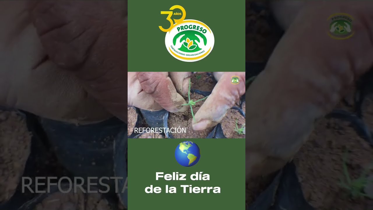 Conócenos - ONG PROGRESO