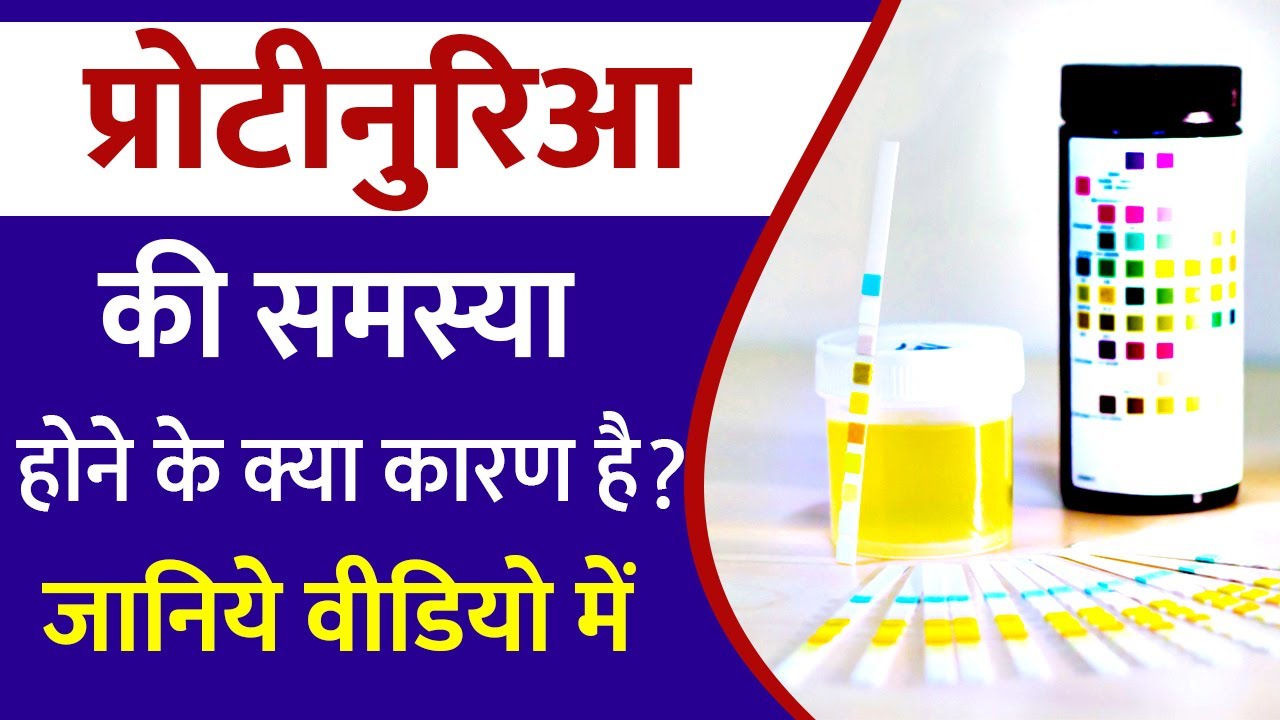 Causes of Proteinuria Problem | Types of Proteinuria | Reason of ...