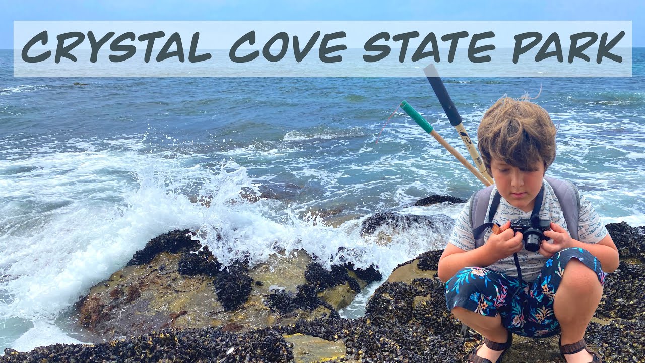 Exploring Tide Pools at Crystal Cove - There were crabs and mystery ...