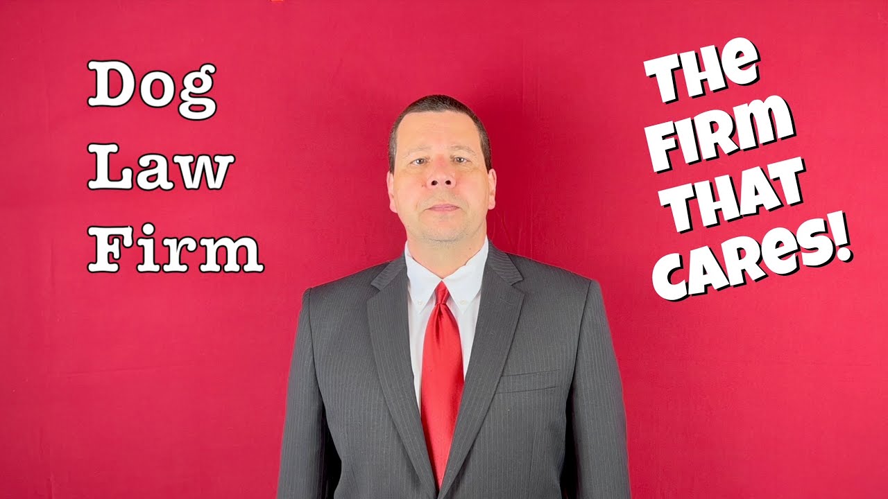 Reuben the Bulldog: Inside Dog Law - YouTube