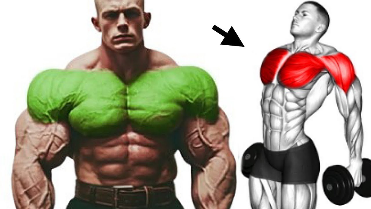 Best Chest and Shoulders Workout Training for Solid Muscles Gains - YouTube