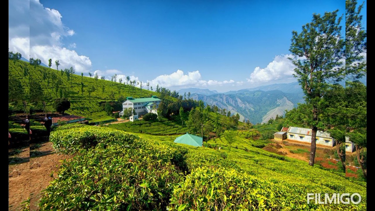 🟡Kolukumalai Tea Estate Sale📌Tamil Nadu💰Price:300 Crore(Ngtbl)Details ...