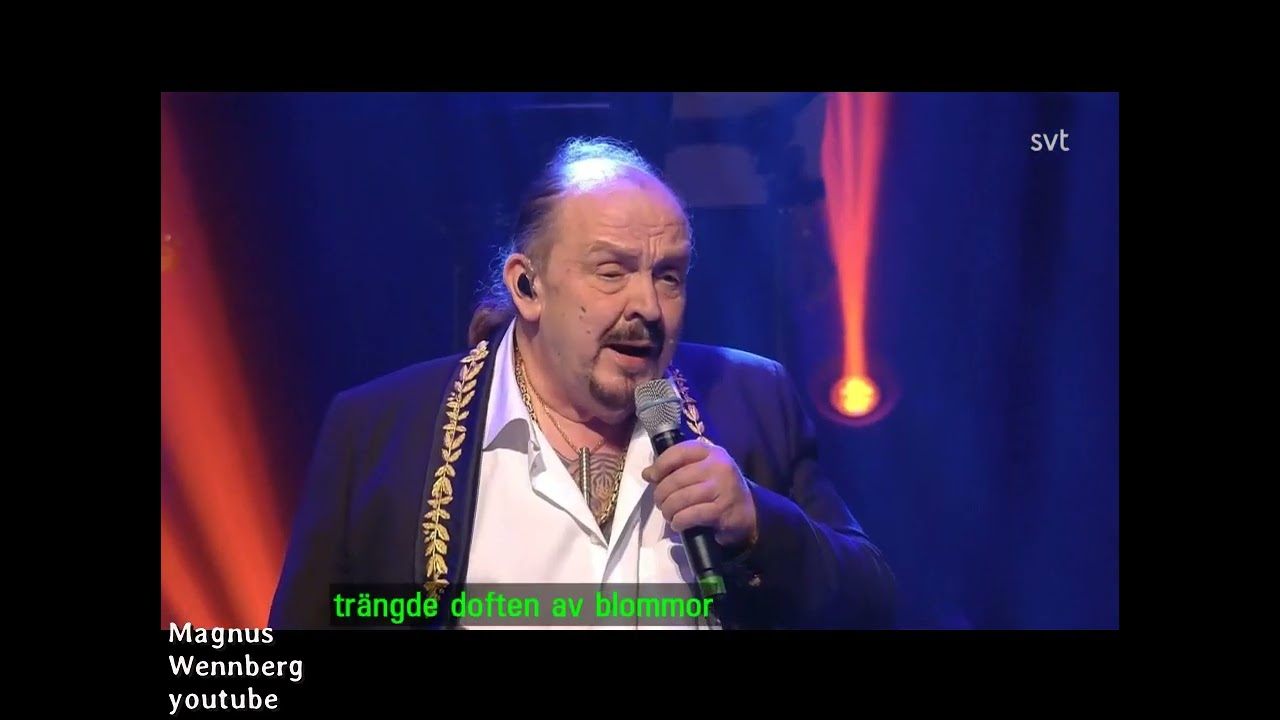 EN DAG I JUNI, OLLE JÖNSSON, OCH DAN STRÅHED, FRÅN HYLLNINGSPROGRAM FÖR ...