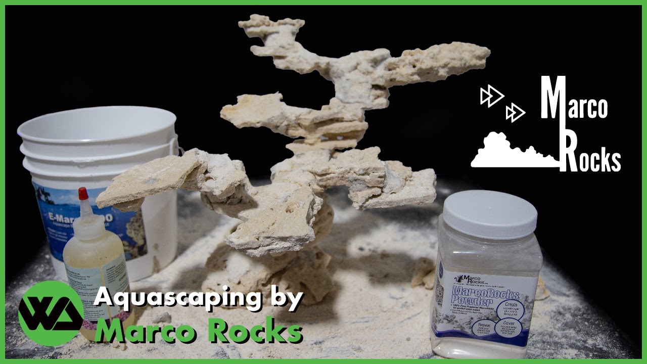 Marco Rocks Custom Aquascapes at Whitlyn Aquatics - YouTube