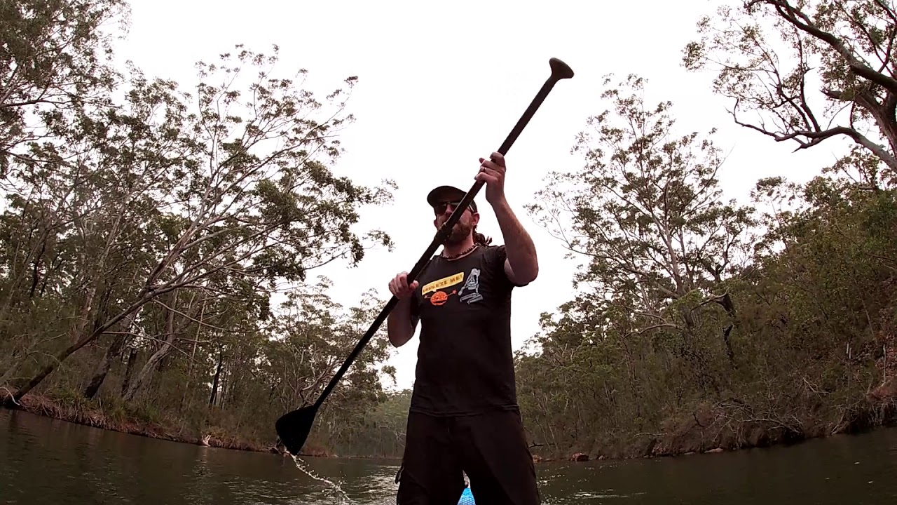 Exploring Berrara Creek (Sussex Inlet, NSW) by SUP - YouTube