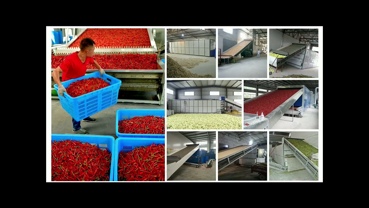 Continuous Multi-layer Mesh Belt Drying Machine - YouTube