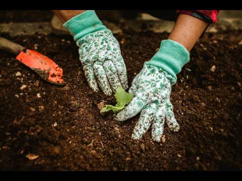 5 Most Productive Crops at Anatolia Farm You Can Grow From Seeds You Already Own for Nothing