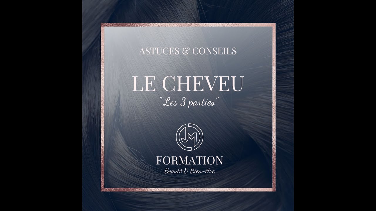 ASTUCES & CONSEILS - LE CHEVEU - Les 3 parties - YouTube