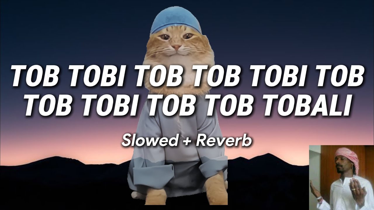 Tob Tobi Tob Tob Tobi Tob Lyrics Video (Muslim Cat) - YouTube