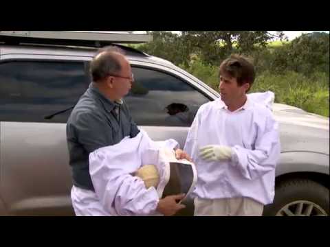 Própolis verde no Globo Rural