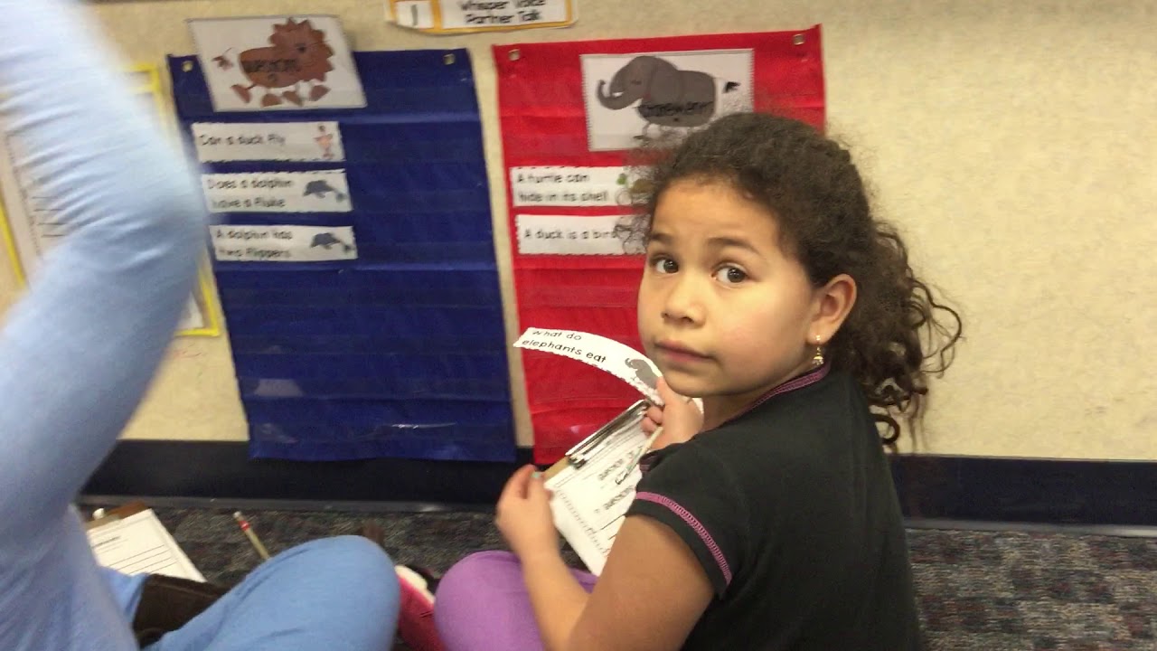 Step 4- 6-Steps of Vocabulary Instruction- Sorting Questions and ...