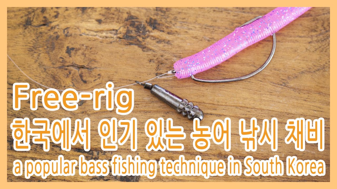 The Free rig - a popular bass fishing technique in South Korea - YouTube