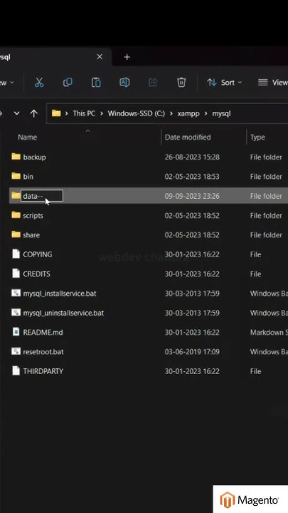 XAMPP MySQL Shutdown Unexpectedly Error Fix | #shorts | #magento | # ...