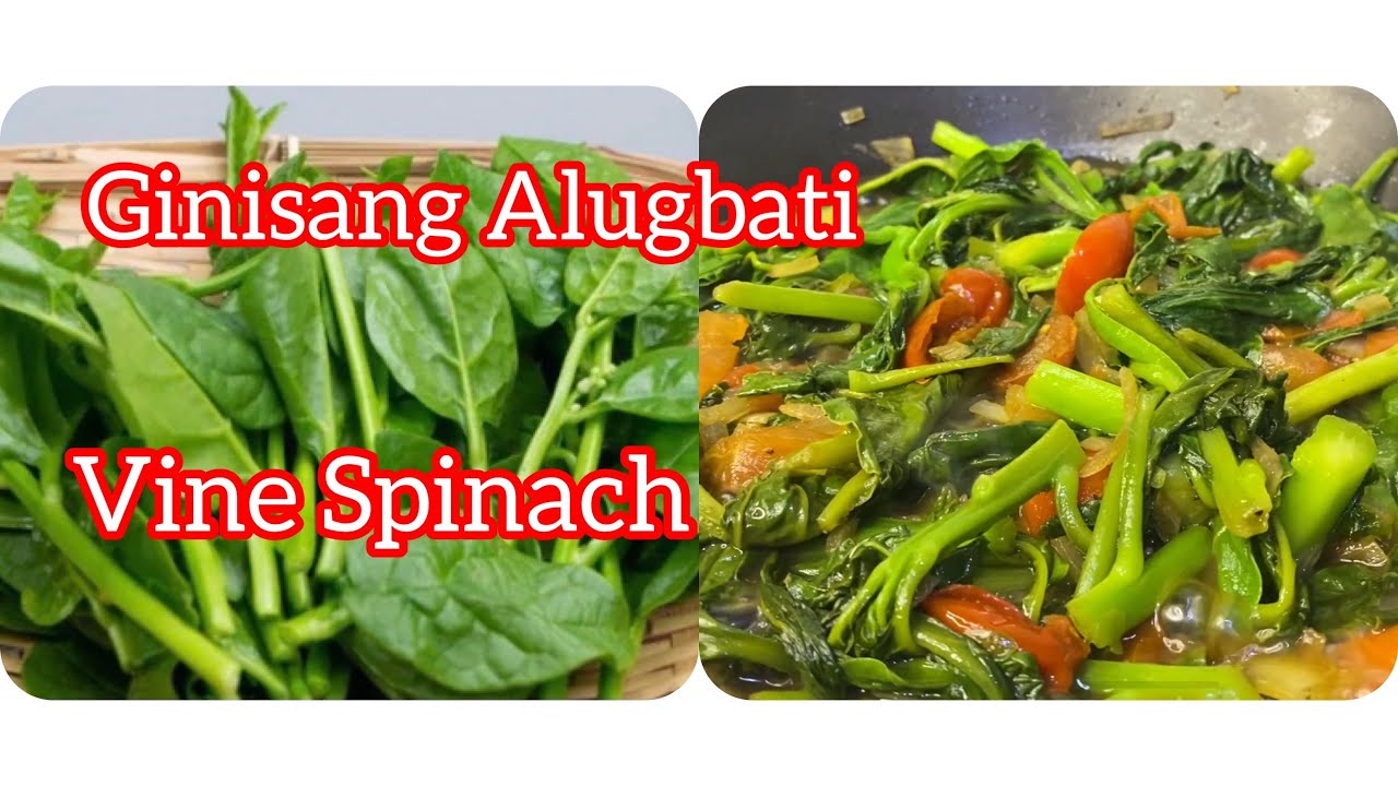 SAUTED SPINACH // Ginisang Alugbati // Indian vine SPINACH - YouTube