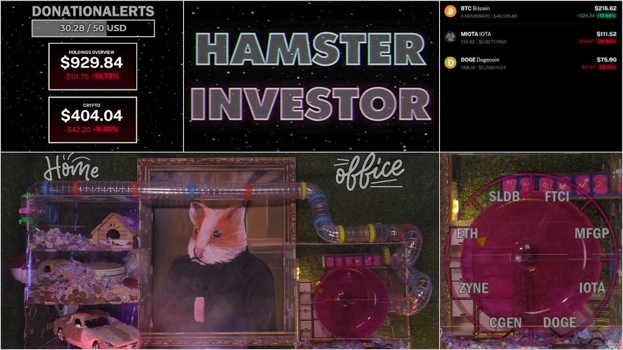 RICH HAMSTER INVESTOR STREAMER DOWN BAD TRADING CRYPTO IN HIS MILLION ...