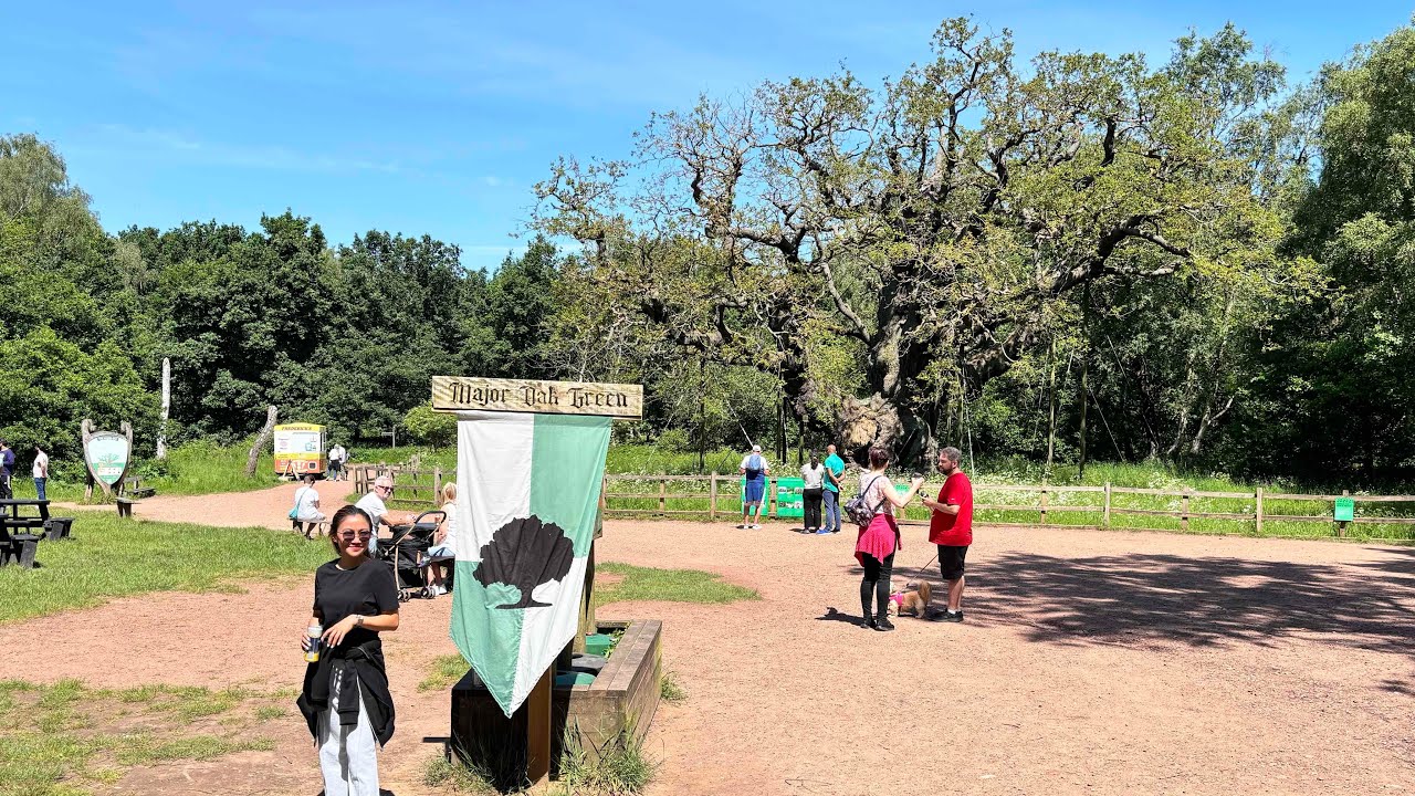 THE MAJOR OAK TREE OLDEST OAK TREE IN UK tree forest the-major-oak-tree-oldest-oak-tree-in-uk-tree-forest