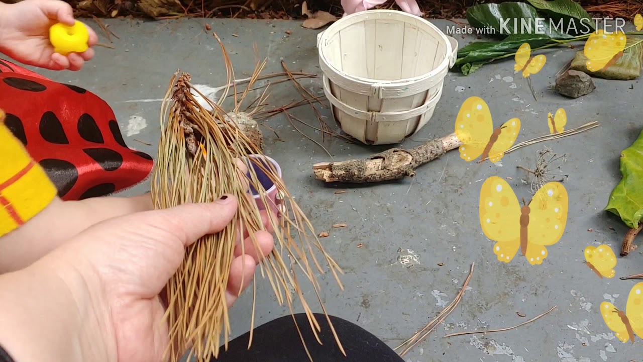 Weight scale science experiment - YouTube