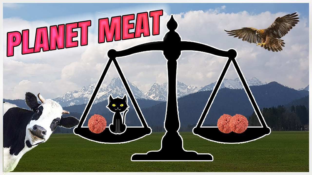 Matthias Clemens Vs. Planet Meat I Stimmen die Gewichtsangaben? - YouTube