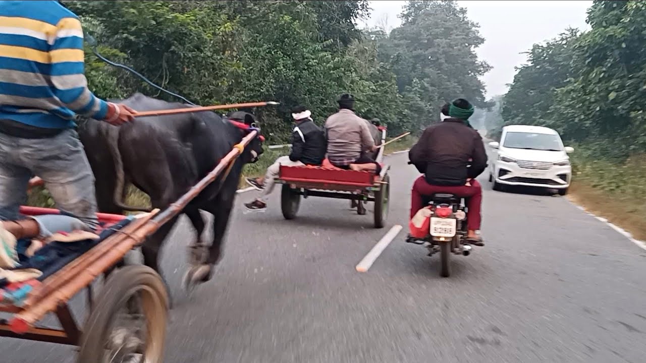 Sukartal Ganga Ji || Mohmandpur Gaav ke Jhote ek Sath Nahar pr || jhota ...