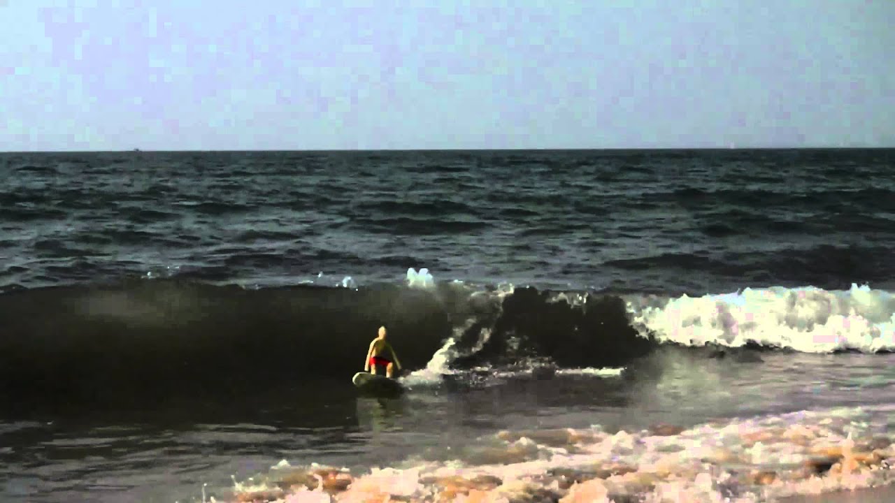 surfing biscuit - YouTube