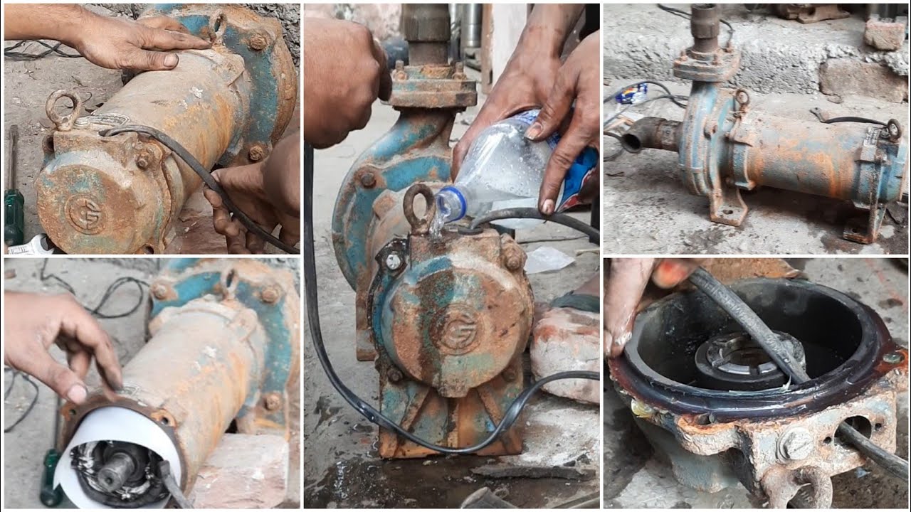 3 Hp crompton pandubi Motor Repair - YouTube