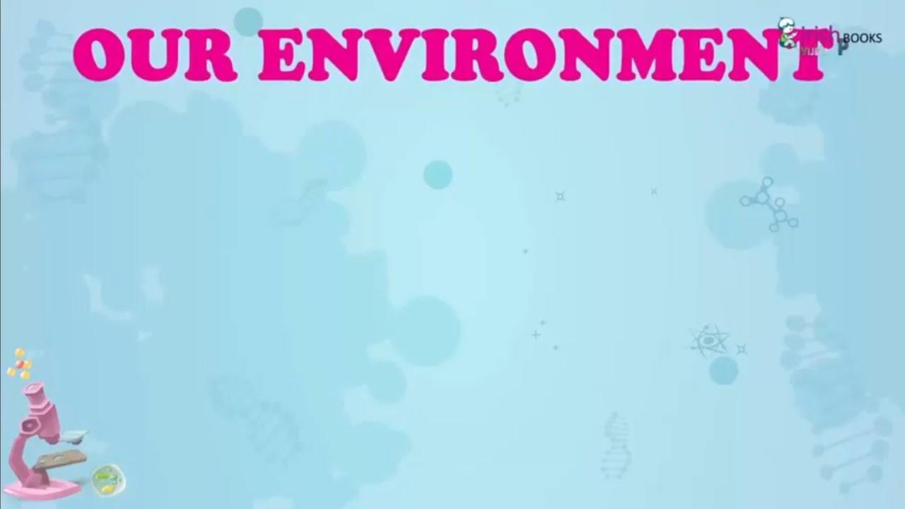 CHAPTER-16 OF CLASS-3 II OUR ENVIRONMENT II ESSENTIAL SCIENCE IRISH ...