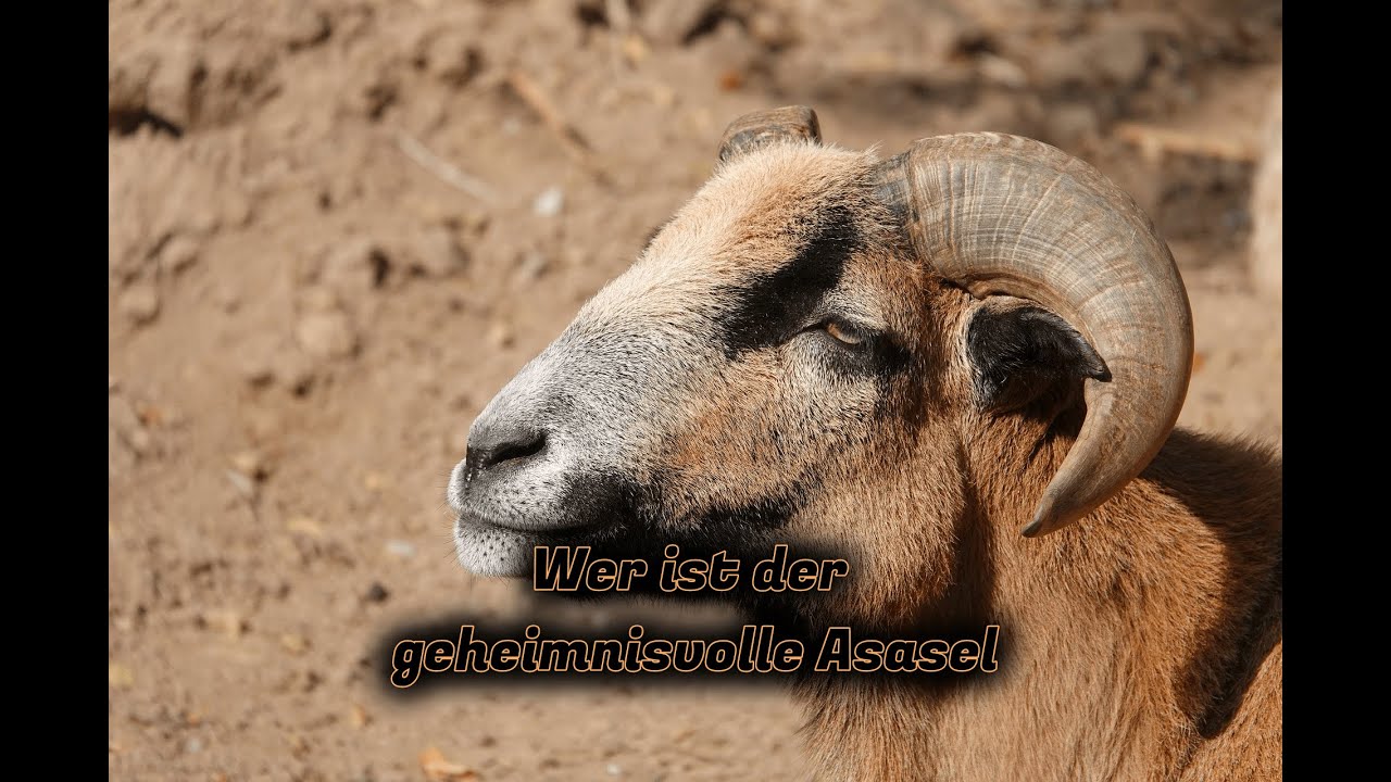 Wer ist der geheimnisvolle Asasel Predigt vom 25.05.2024 - YouTube