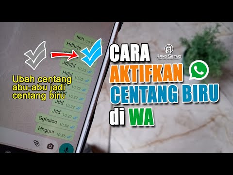 Cara Mengaktifkan Centang Biru di WA