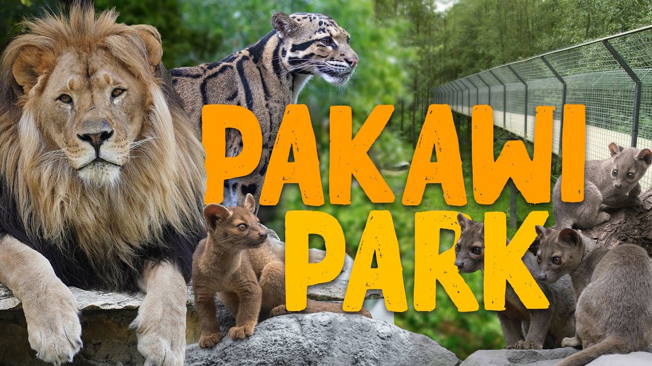Pakawi Park | Zoo Eindruck - YouTube