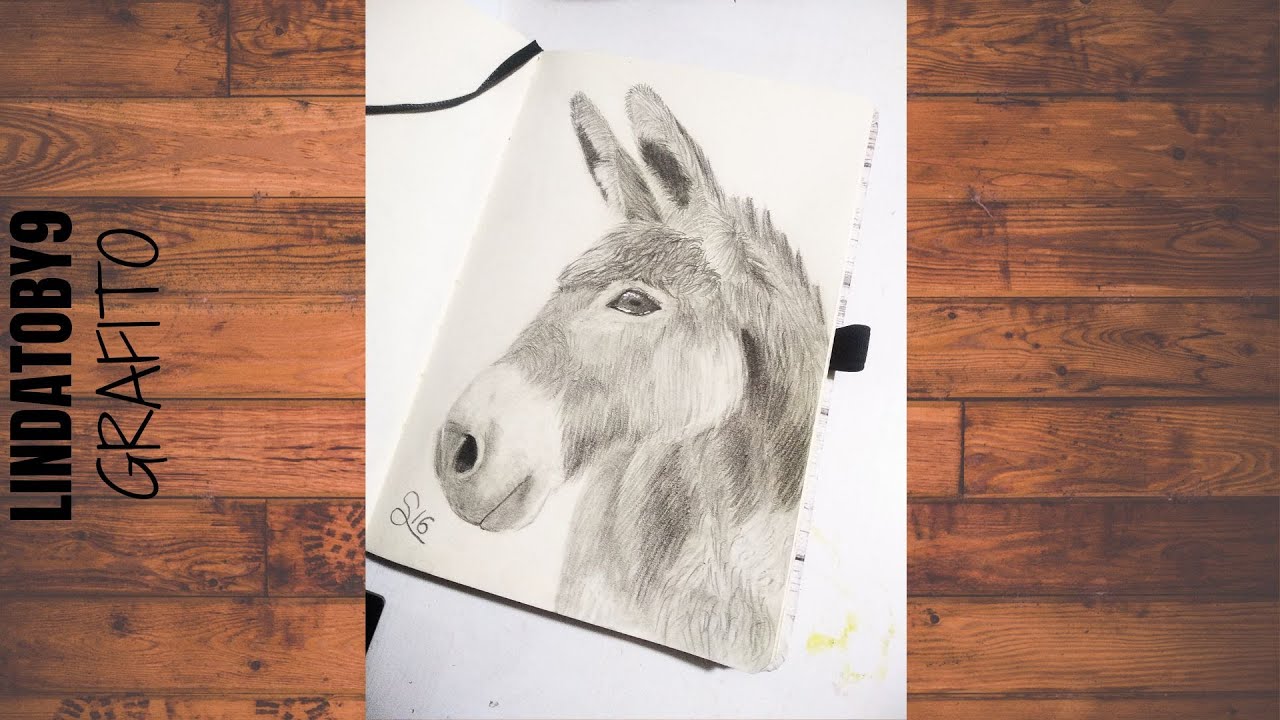 Speed drawing: Dibujo de burro realista a lapiz - YouTube