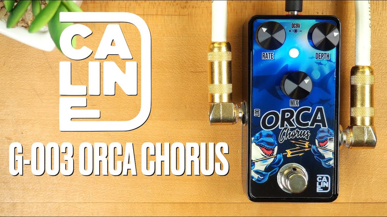 Caline G-003 Orca Chorus - YouTube