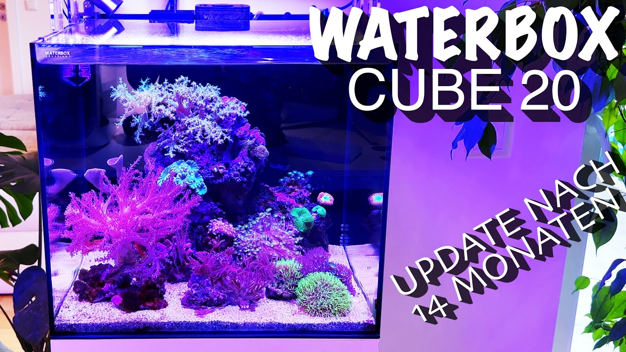 WaterBox Cube 20 - Update nach 14 Monaten - YouTube