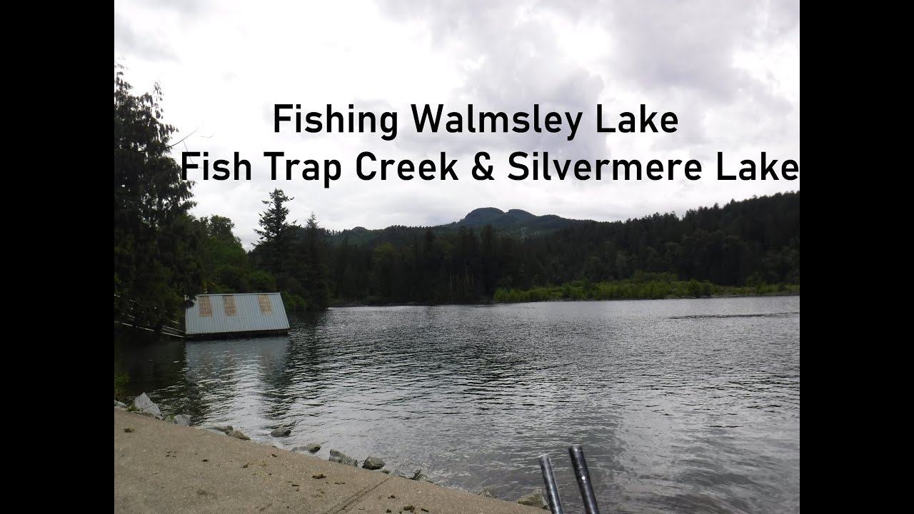 Fishing Walmsley Lake, Fish Trap Creek & Silvermere Lake - YouTube