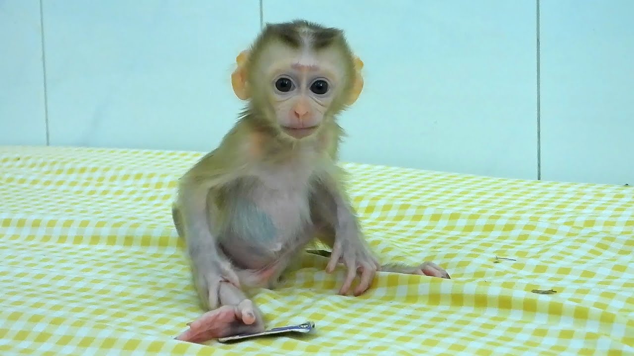 Newborn Valen Playing Papers On The Bed - YouTube