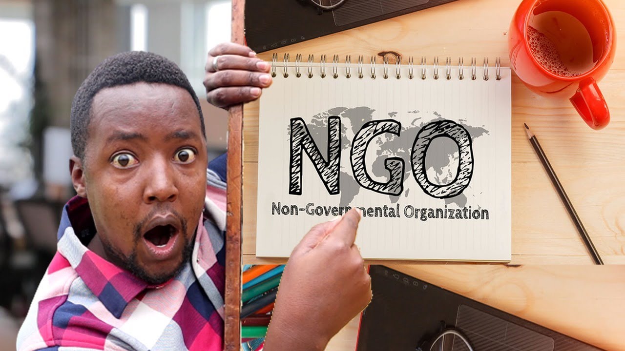 Transition to NGO Jobs: Securing an NGO Job, Even If You're a Beginner ...