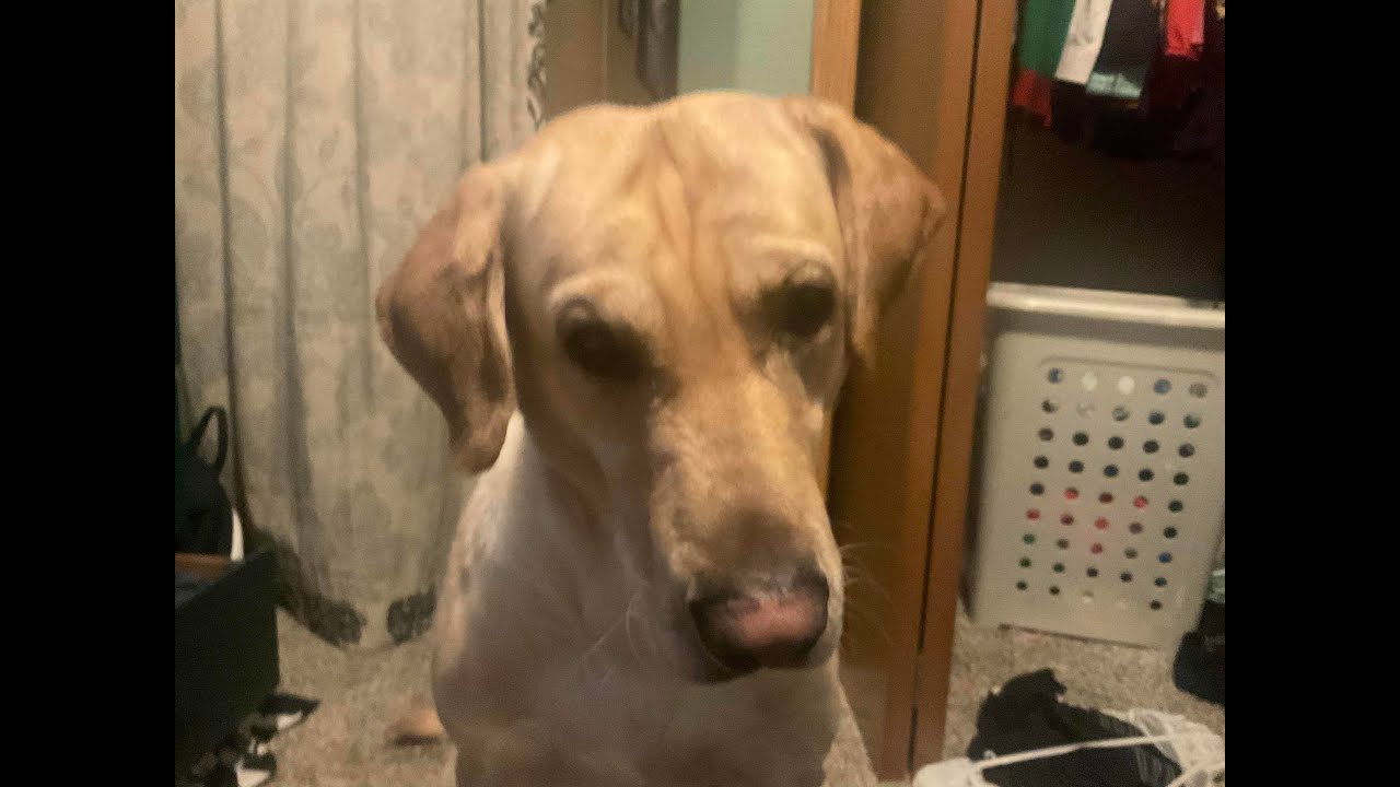 🔴🔴LIVE RIGHT NOW GRINDING SANDY AND CLANCY🔴🔴 - YouTube