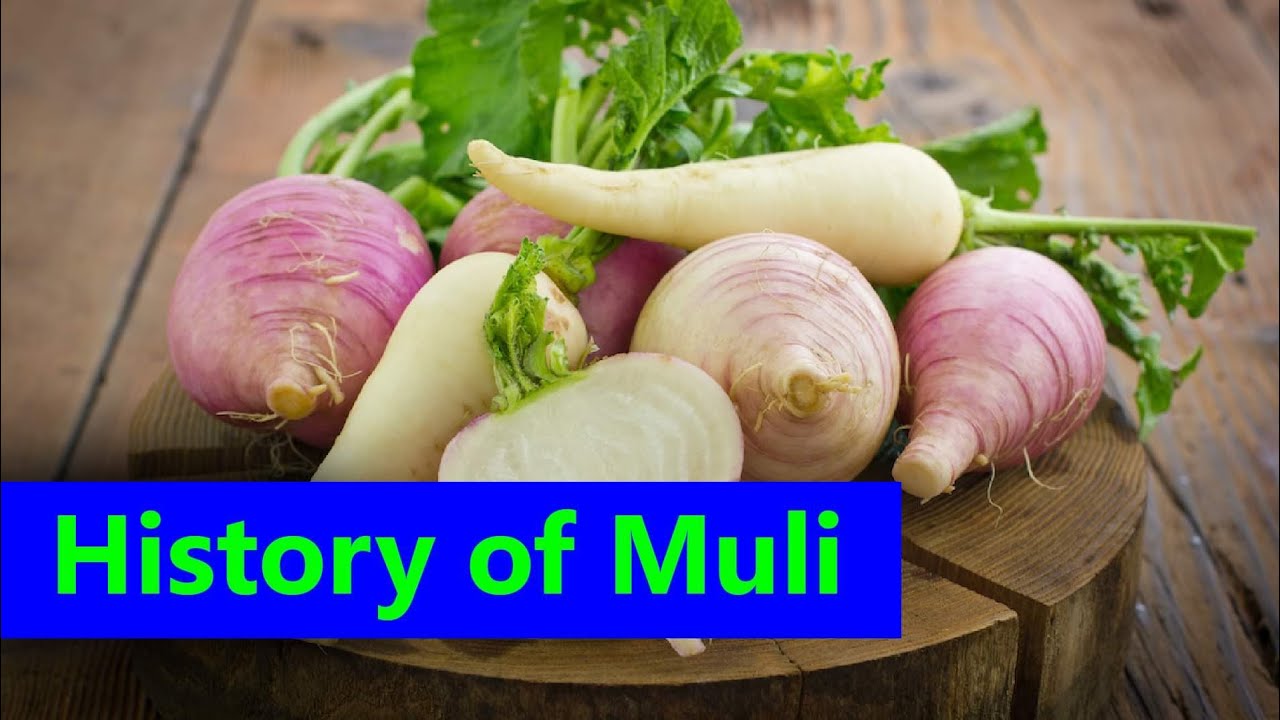 HISTORY OF MULI - YouTube