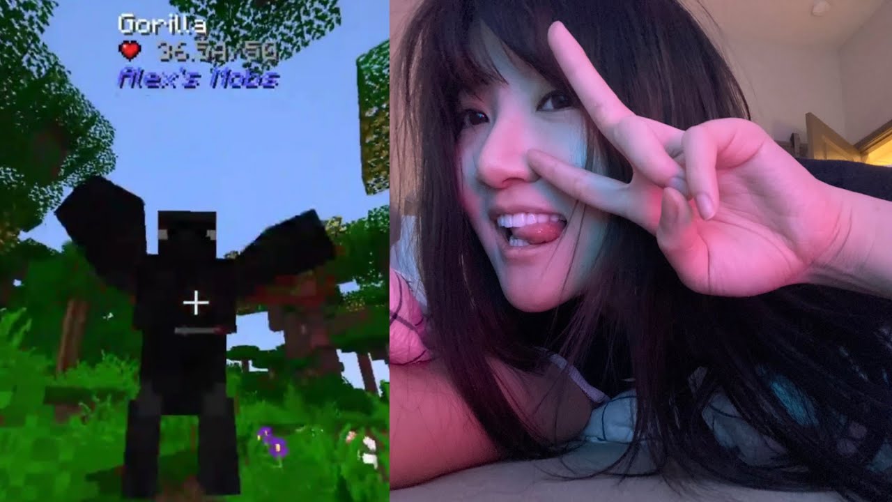 Aria vs Gorilla | OTV Minecraft Server - YouTube