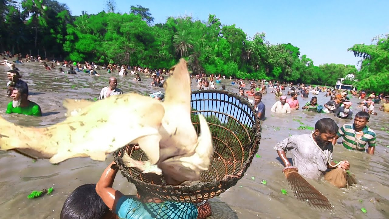 Real Amazing Big Fish Hunting | With Polo Quickly Fishing. - YouTube