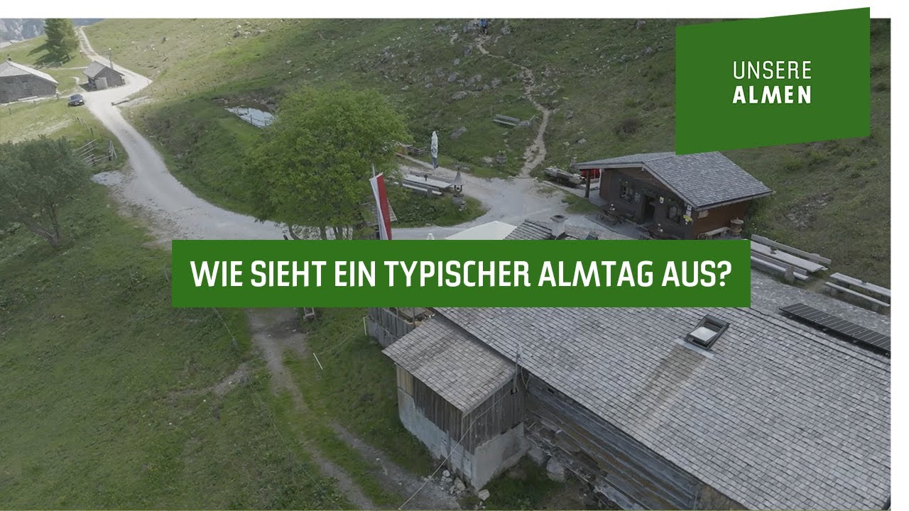 Ein typischer Tag auf einer Alm hat viele verschiedene Aufgaben - YouTube