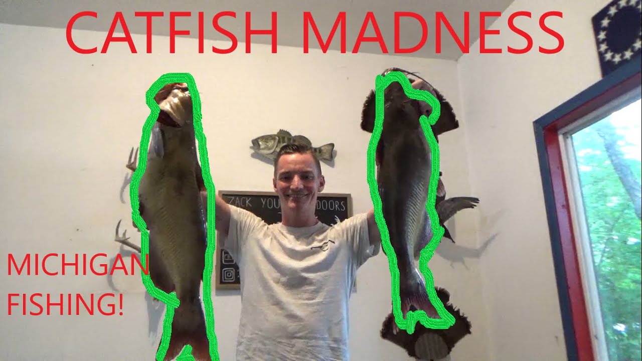 4 Catfish in 10 Minutes (Michigan Catfish) - YouTube