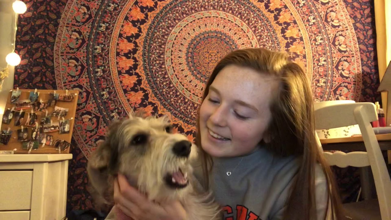 mi perro y yo - Grace Chappell - YouTube