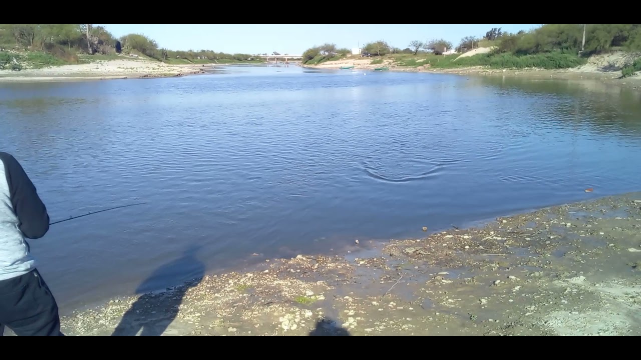 pesca con alimento para perro!!(si funciona) - YouTube