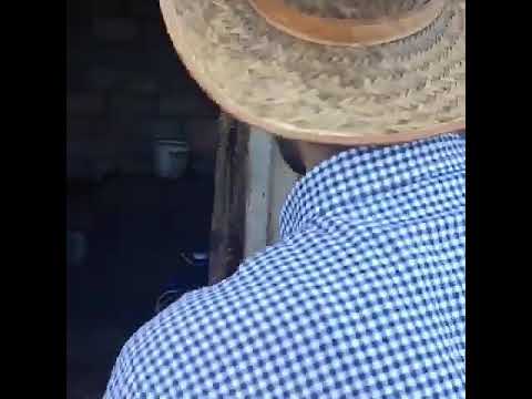 Fehleleriy fehleleri