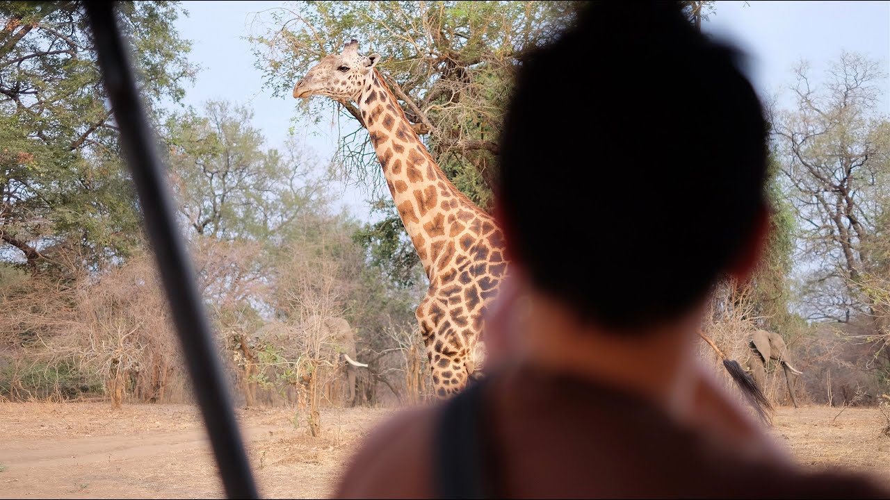 African Moments - YouTube