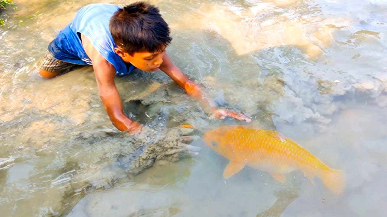 amazing hand fishing video - Smart boy catching fish by hand from mud ...