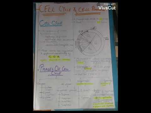 Best handwritten notes for CELL CYCLE AND CELL DIVISION class 11 ...