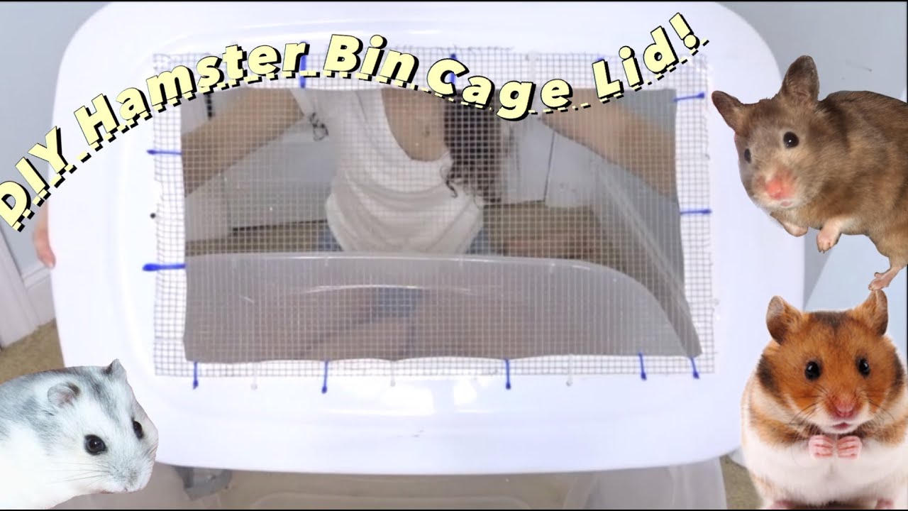 Diy Hamster Bin Cage Lid Making My Hamster A New Bin Cage Youtube
