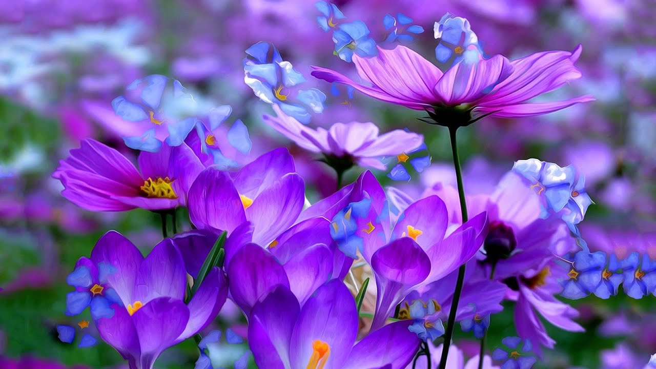 Los colores más bellos de la naturaleza - Colores 4K UHD TV 0875 - YouTube