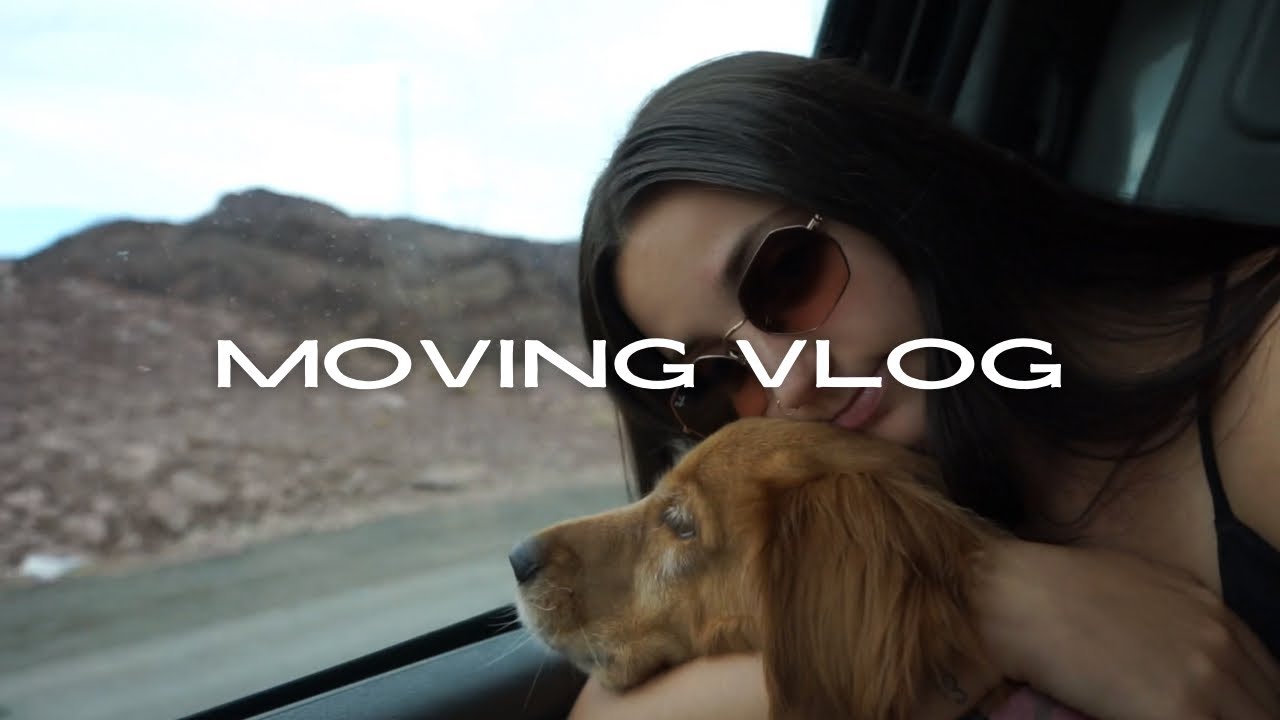 MOVING VLOG - YouTube